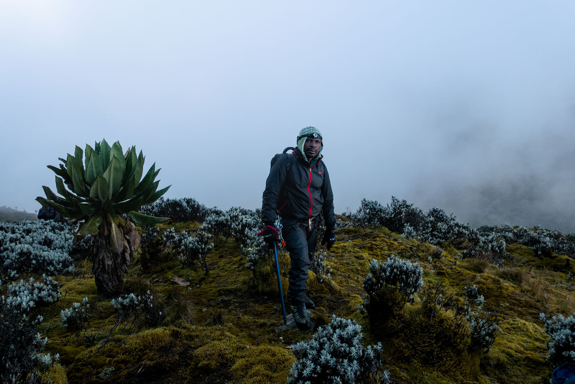 Go With The Flow, Grand Prix Bourses Expé 2022 – HR Production